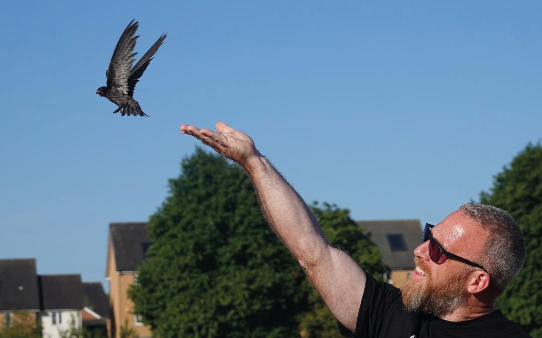 Taking swift action to protect their future - MK Pulse